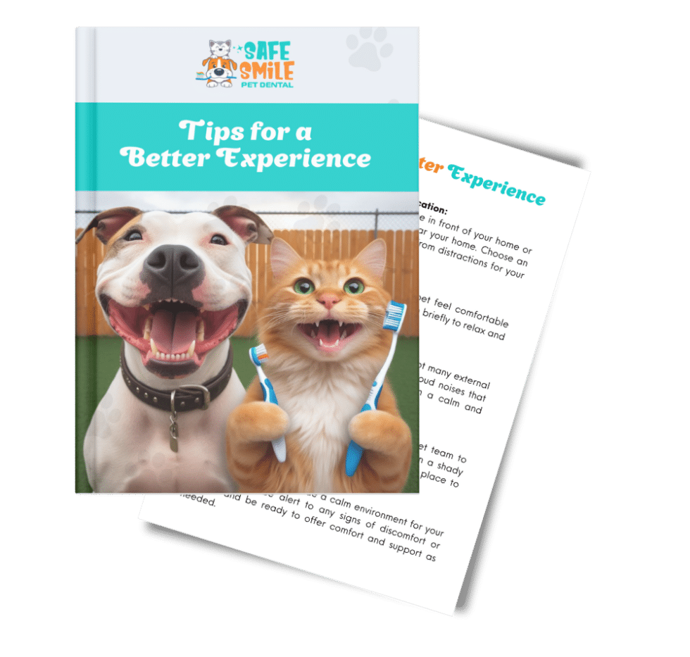 Our Process | Safe Smile Pet Dental